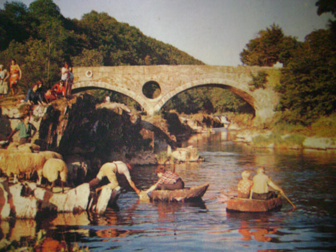 Make a Coracle Fishing Boat – Mother Earth News